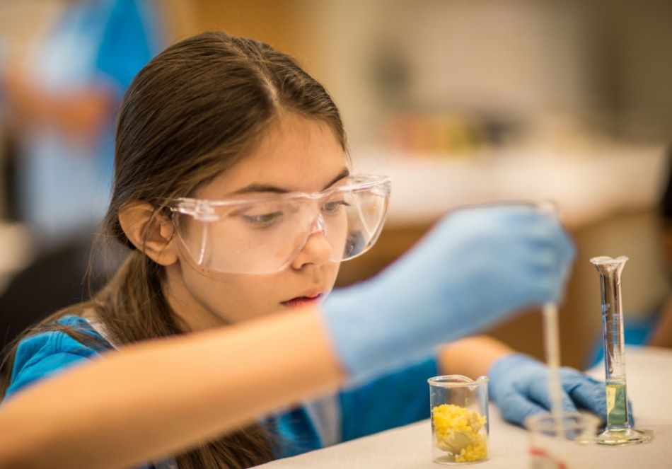 How can school leaders help fix the leaky STEM pipeline? - WomenEd Blogs How can school leaders help fix the leaky STEM pipeline? - WomenEd Blogs